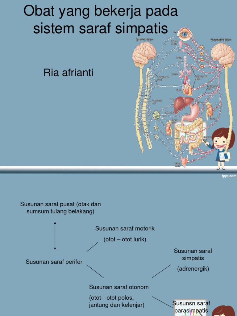 Obat Yang Bekerja Pada Sistem Saraf Simpatis | PDF