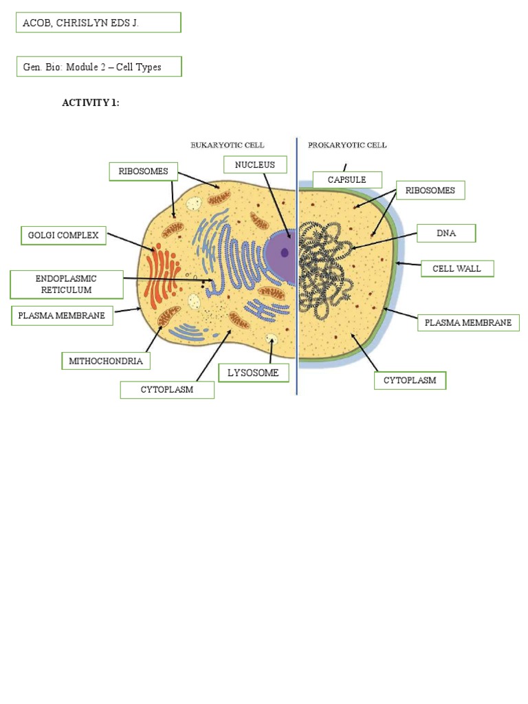 Gen Bio Module 2 | PDF | Cell (Biology) | Cell Nucleus