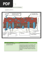 Genral Biology 1 Grade 11-Stem Cell Membrane: Structure and Function ...