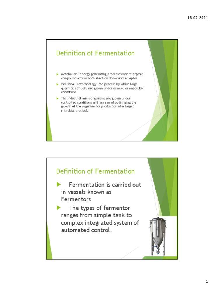 Different Types of Fermentation | PDF | Fermentation | Chemistry
