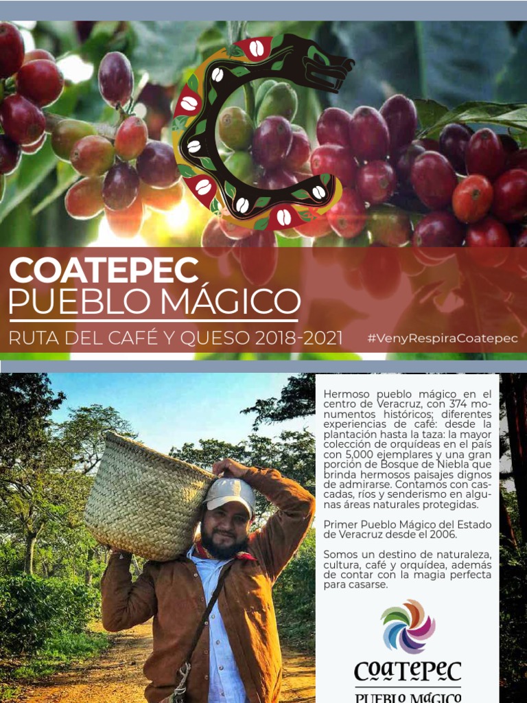 Ruta Del Cafe Web | PDF | café | Transporte
