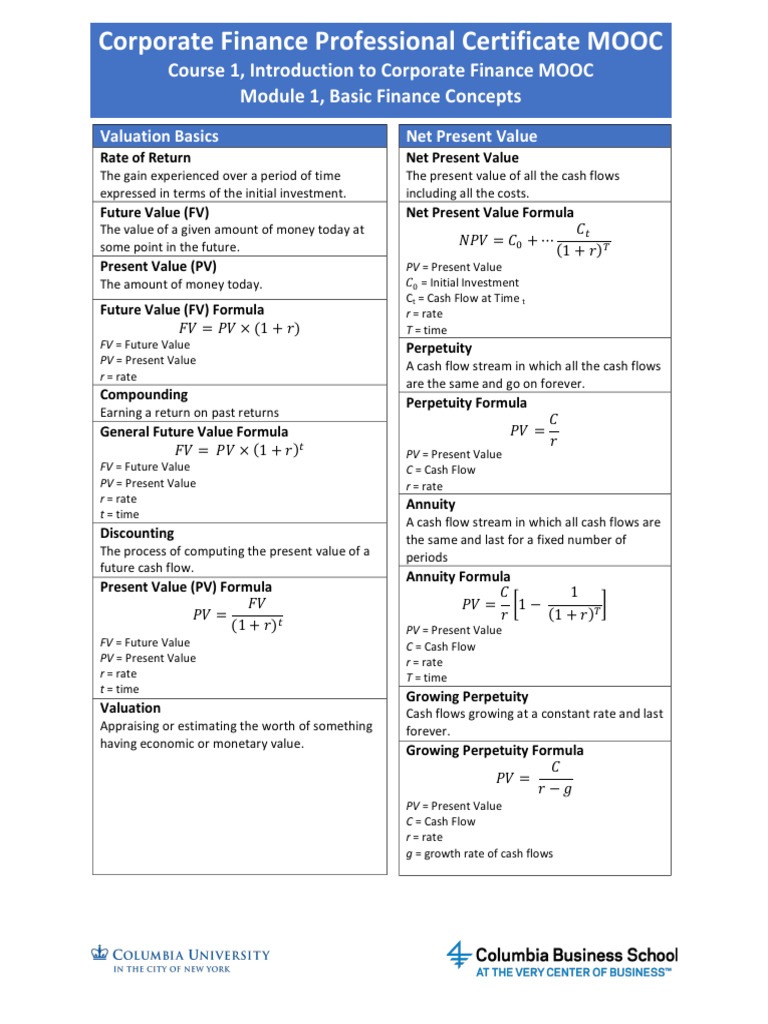 Basic Finance Formulas | PDF | Present Value | Net Present Value