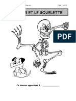 Anatomie et Fractures du Rocher | PDF | Tête et cou chez l'humain ...