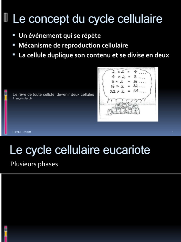 Comprendre le cycle cellulaire | PDF | Mitose | Cycle cellulaire