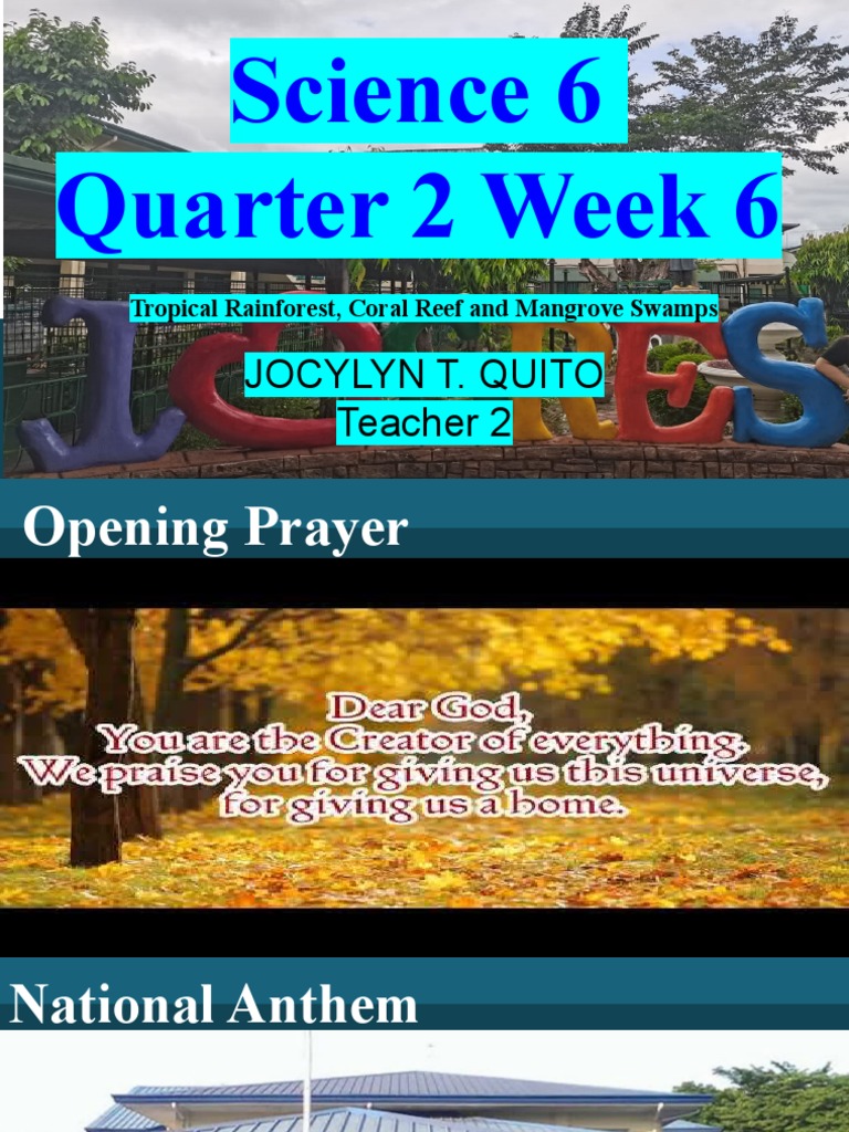 Science 6 Quarter 2 Week 6 | PDF | Coral Reef | Mangrove