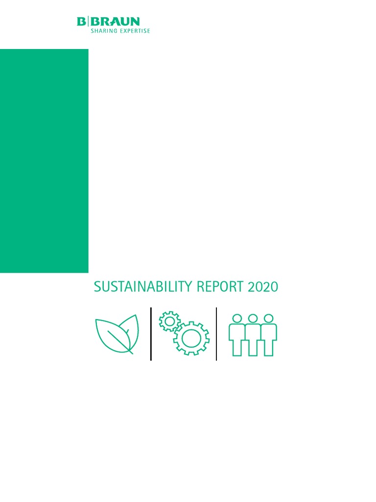 2020 Sustainability Report | Download Free PDF | Sustainability | Surgery