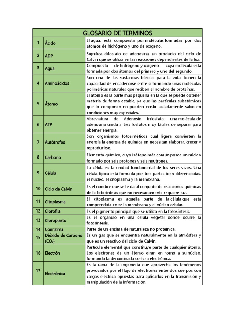 Glosario de términos clave de bioquímica y fotosíntesis | PDF ...