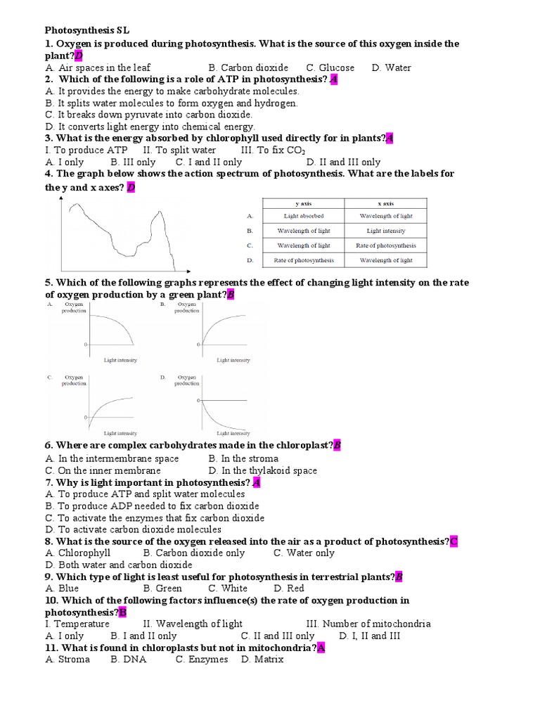 Photosynthesis Test | PDF | Photosynthesis | Chloroplast
