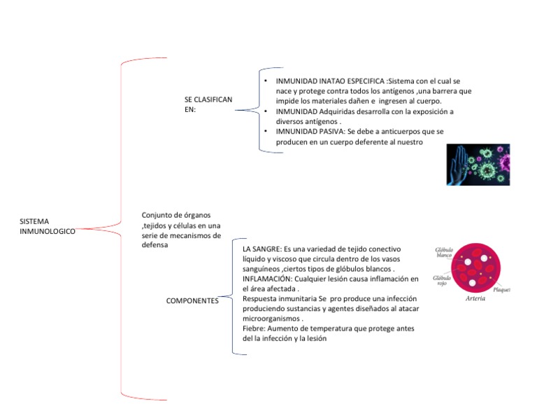 Cuadro Sinóptico - Sistema Inmunológico | PDF