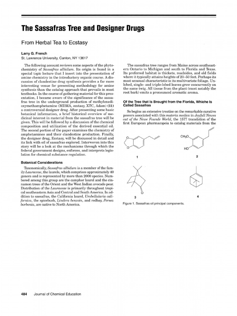 The Sassafras Tree and Designer Drugs | PDF | Mdma | Chemistry