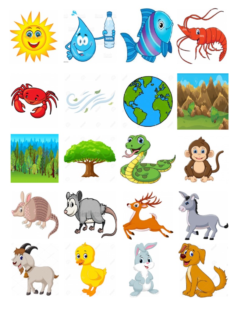 Animales en Xinca | PDF