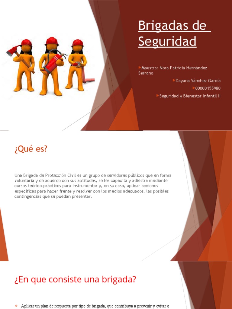 Brigadas de Seguridad | PDF | Defensa Civil | Valores
