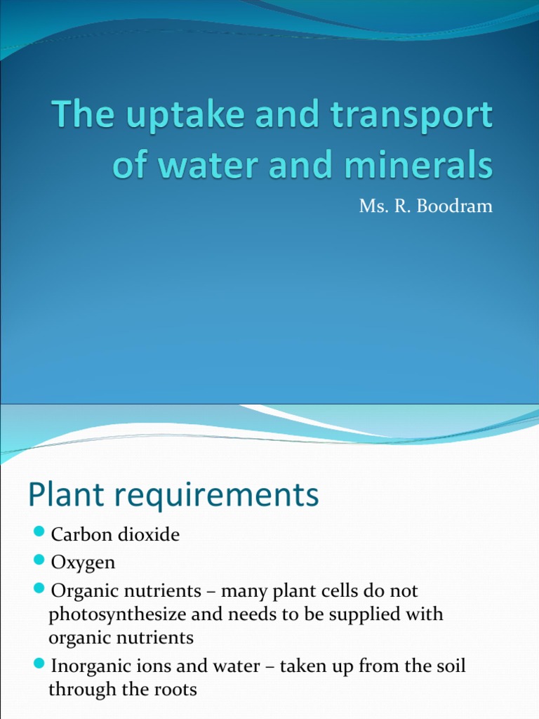 Topic 5 - The Uptake and Transport of Water and Minerals | PDF | Root ...