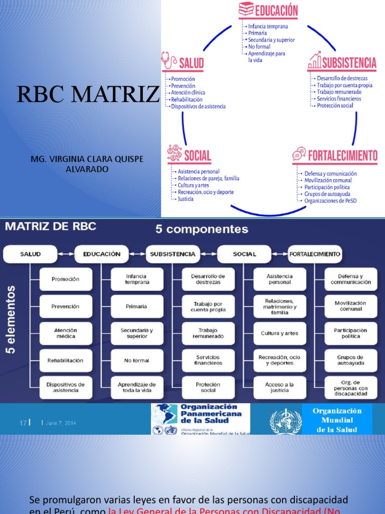 RBC Matriz | PDF | Invalidez | Amamantamiento