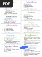 Retortamonas intestinalis: Protozoo Intestinal | PDF | Biología | Medicina