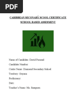 POB SBA Sample | PDF | Survey Methodology | Motivational