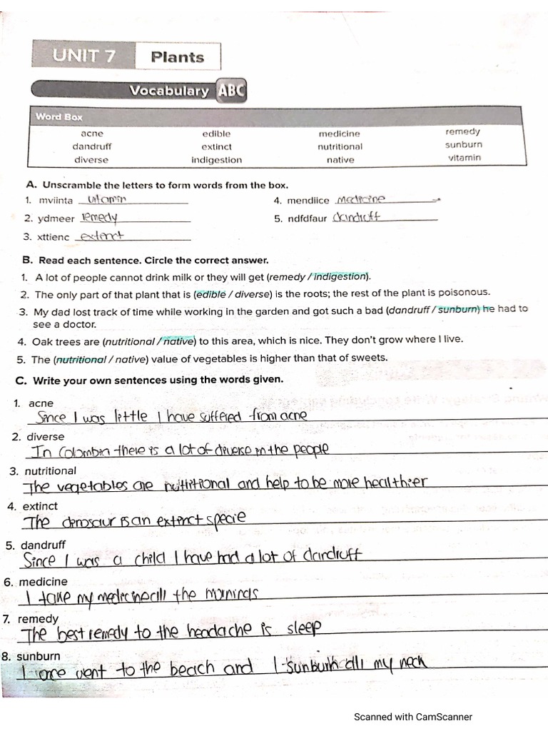 Workbook Page 37,38,39 | PDF