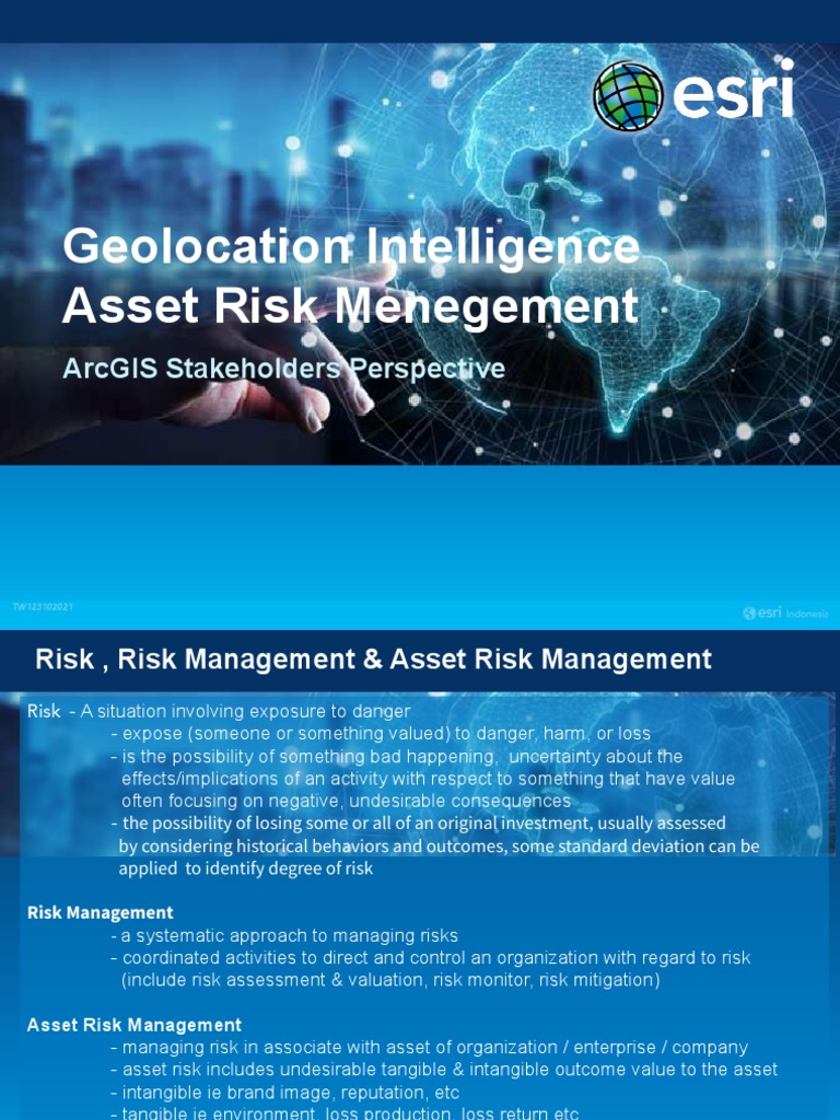 Geolocation & Asset Risk Insights | PDF | Risk | Risk Management