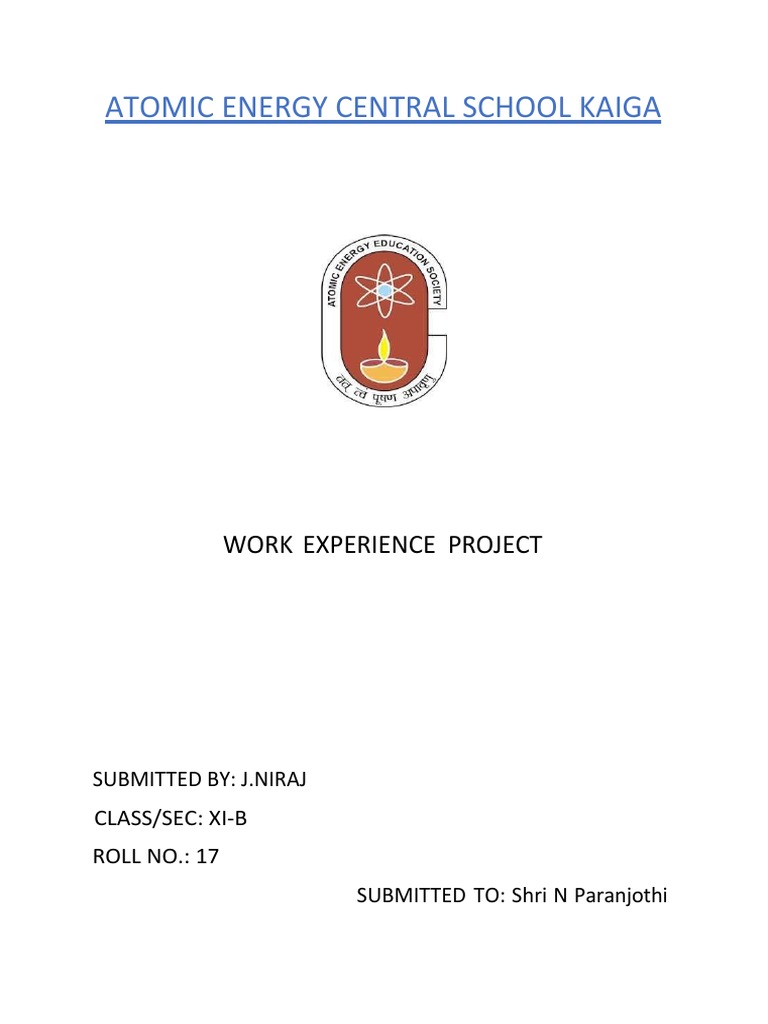 Atomic Energy Central School Kaiga: Work Experience Project | PDF ...