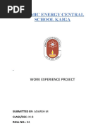 Class 9 Sewa Project Edited | PDF | Physical Fitness | Endurance