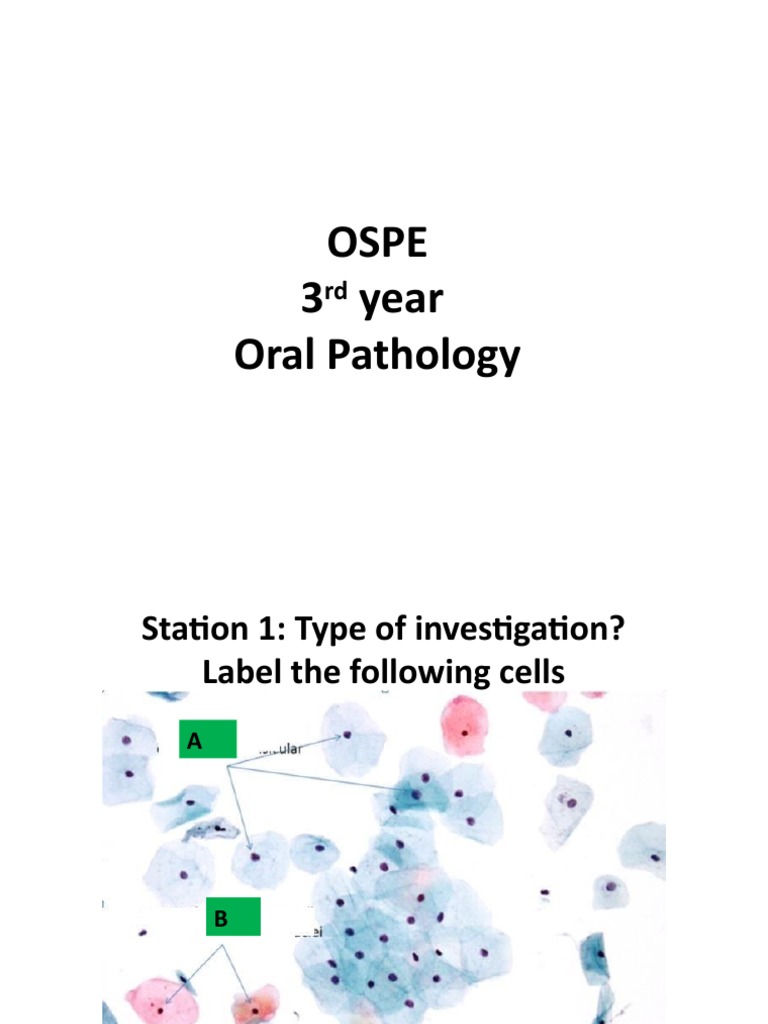 Exam 2018 OSPE 2 | Download Free PDF | Clinical Medicine | Medicine