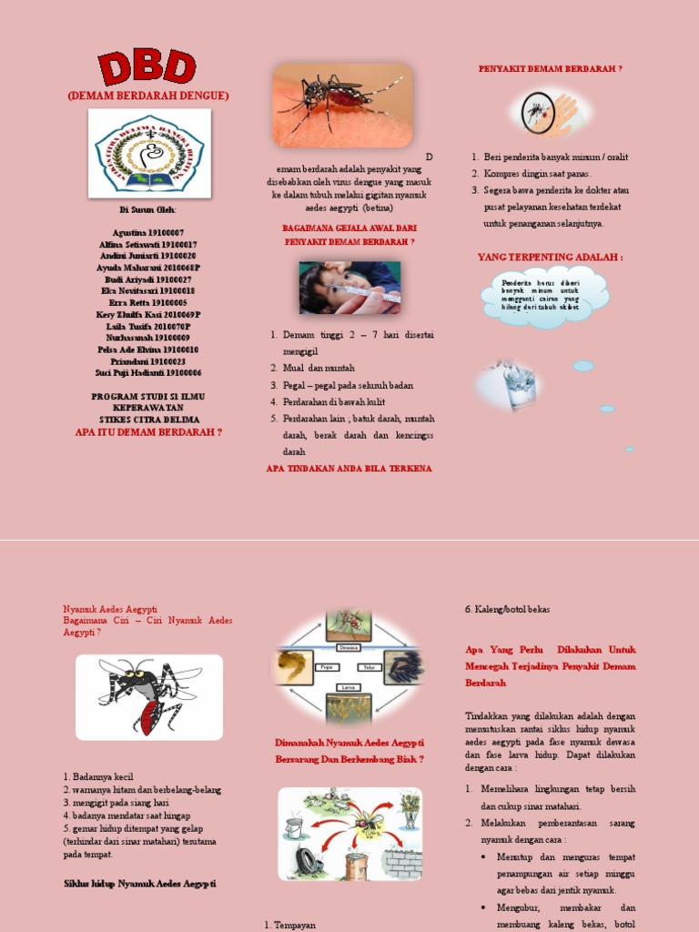 Leaflet Demam Berdarah Dengue | PDF