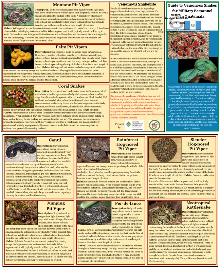 Snake Pamphlet Guatemala Cleared 508 | PDF | Snake | Venomous Snakes