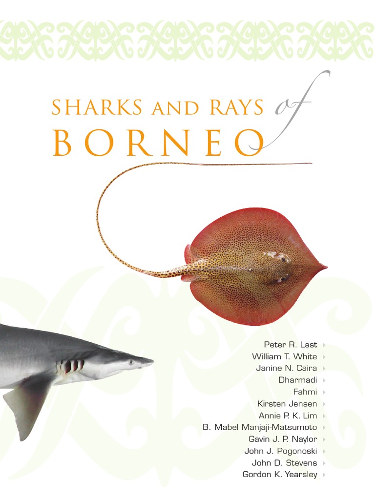 Borneo Shark and Ray Guide | PDF | Anatomical Terms Of Location | Malaysia