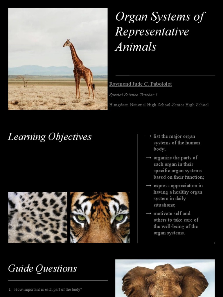 Organ Systems of Representative Animals | PDF | Psychology | Cognition