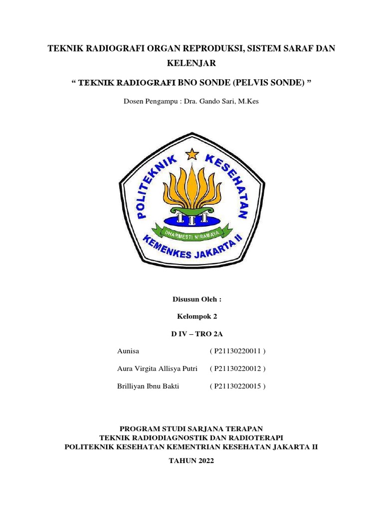Teknik Radiografi Bno Sonde (Pelvis Sonde) | PDF
