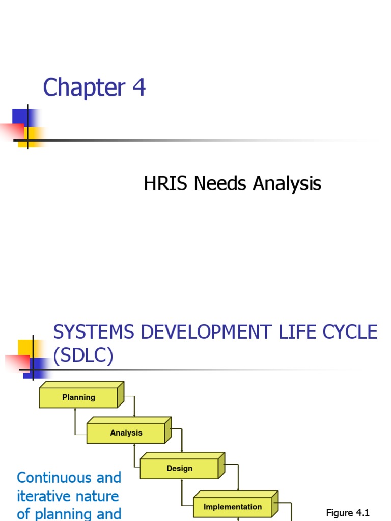 Chapter 4 - HRIS Needs Analysis | PDF | Systems Science | Information ...
