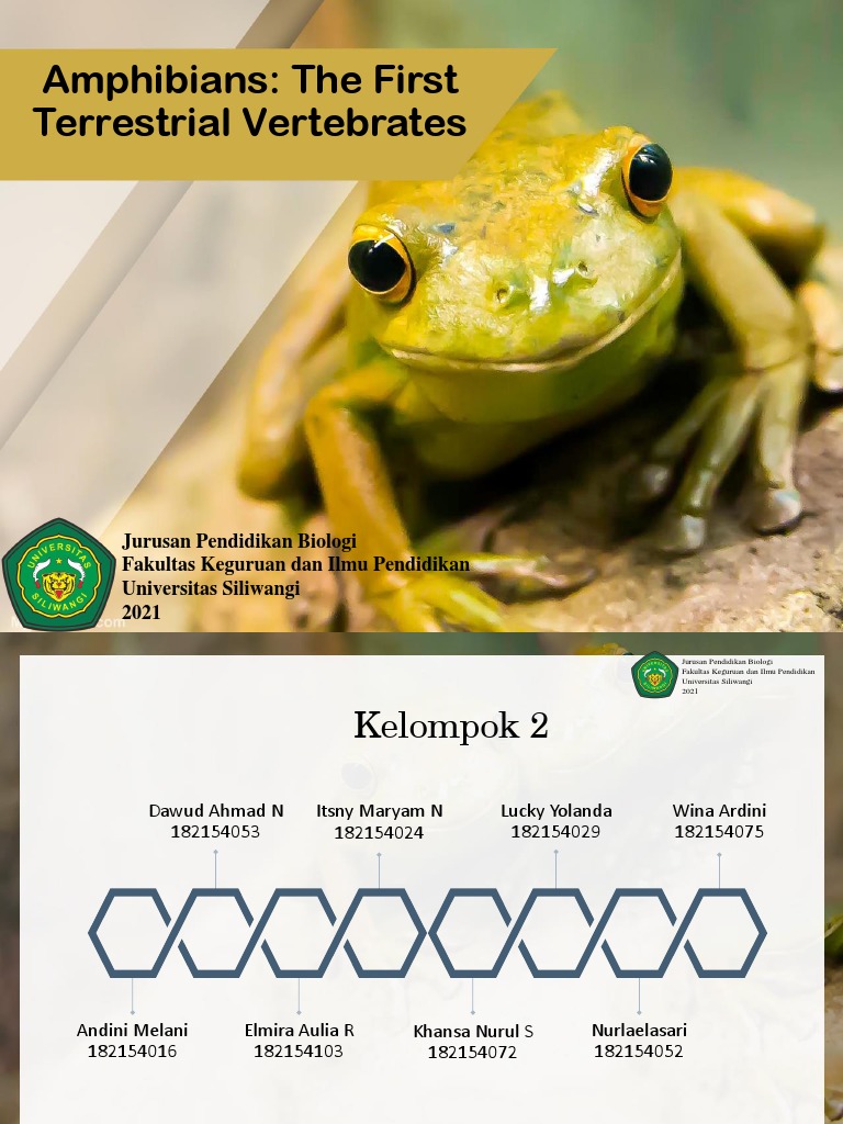 Evolutionary Origins of Amphibians | PDF