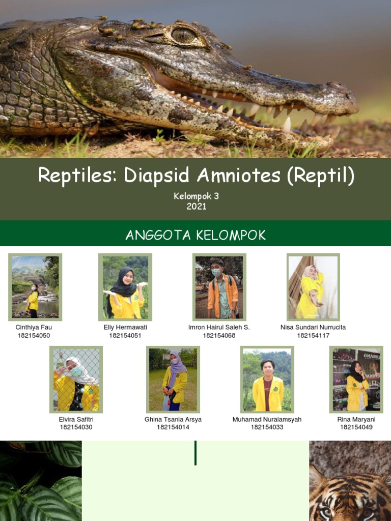 Reptil Zoover | PDF
