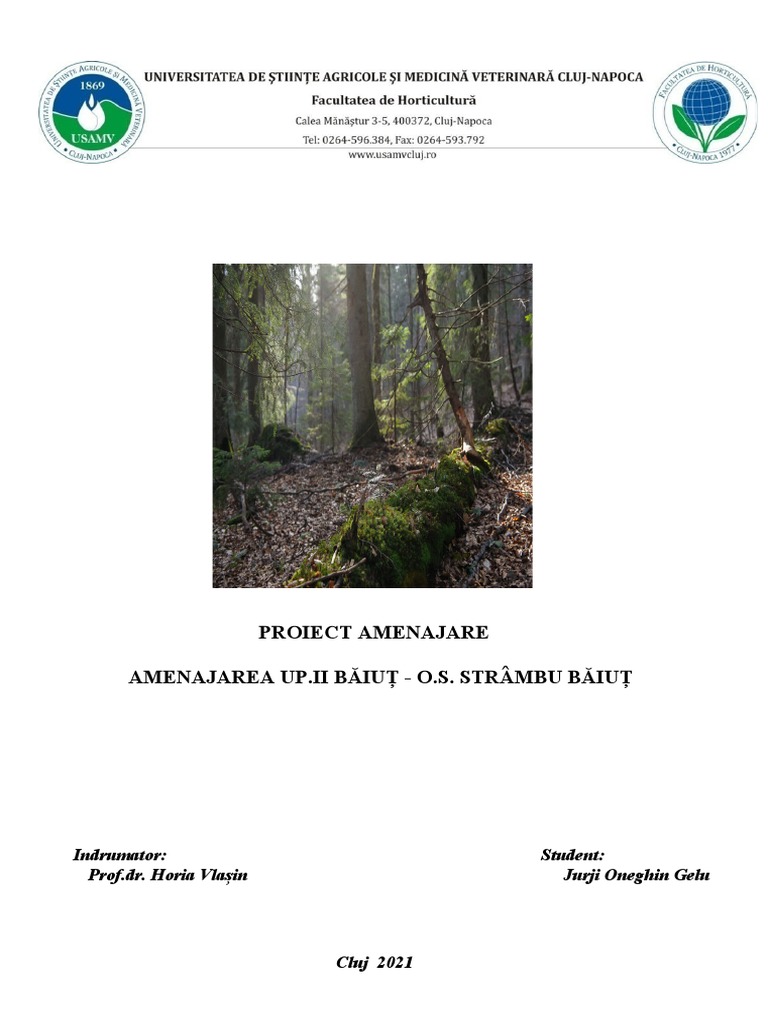 Proiect Amenajare GELU | PDF