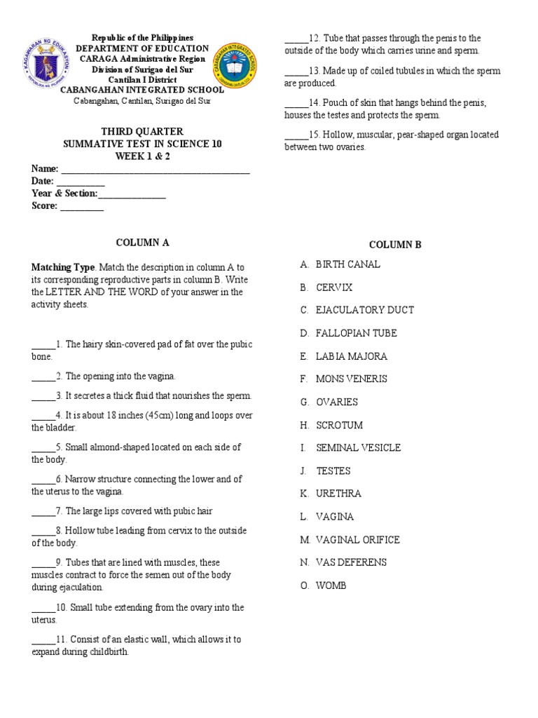 Science 10 Summative Test 3RD Quarter | PDF | Evolution | Vagina