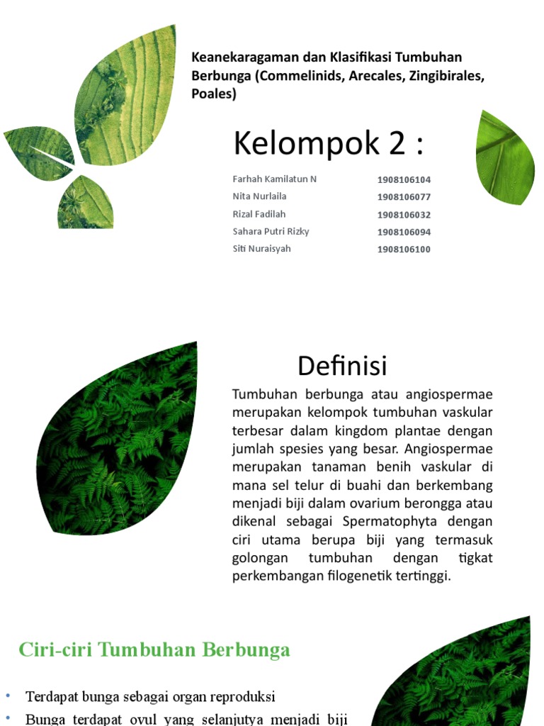 Botani Kelompok 2 | PDF | Griya & Taman | Fiksi Umum