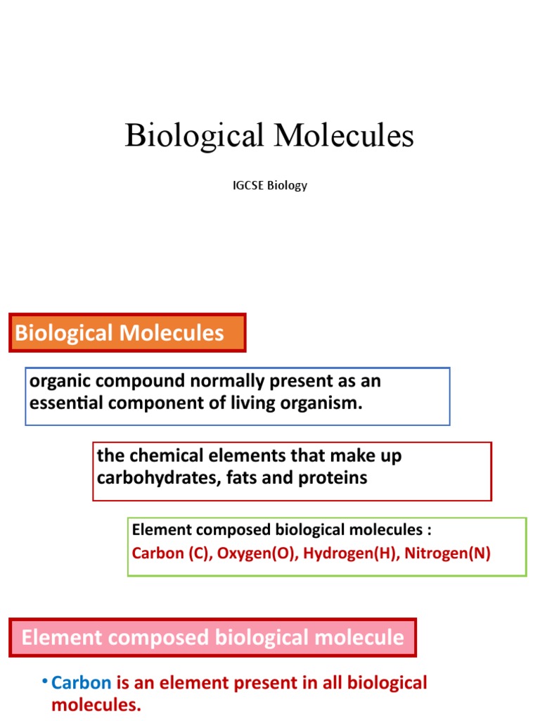 Biological Molecules: IGCSE Biology | PDF | Nucleic Acids | Glucose