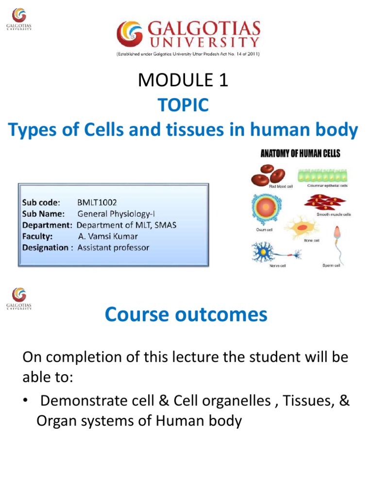 Types of Cells and Tissues | PDF
