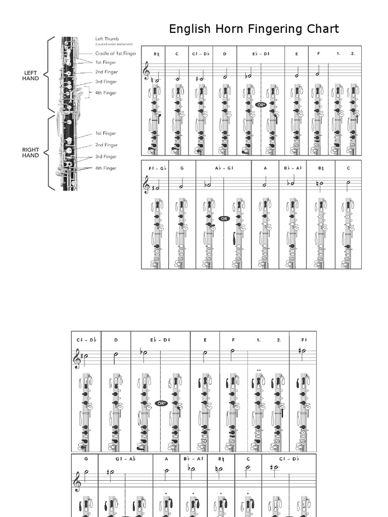 CORNE INGLES Tabela de Digitacao Fingering Chart English Horn | PDF