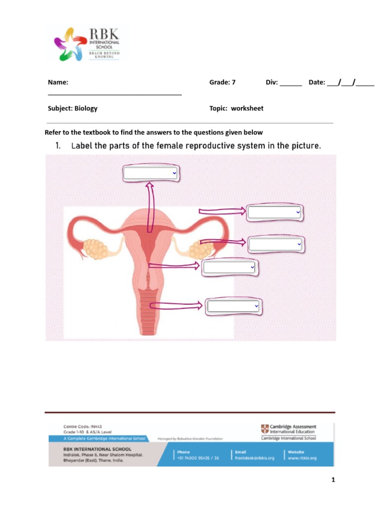 Grade 7 Revision Worksheet Reproduction | PDF