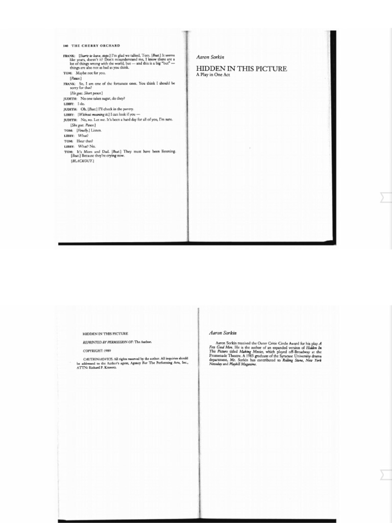 Aaron Sorkin - Hidden in This Picture | PDF