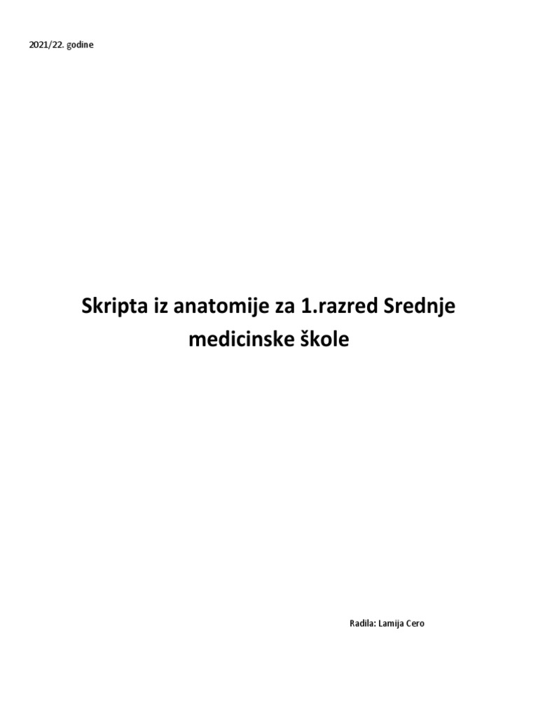 Skripta Iz Anatomije | PDF