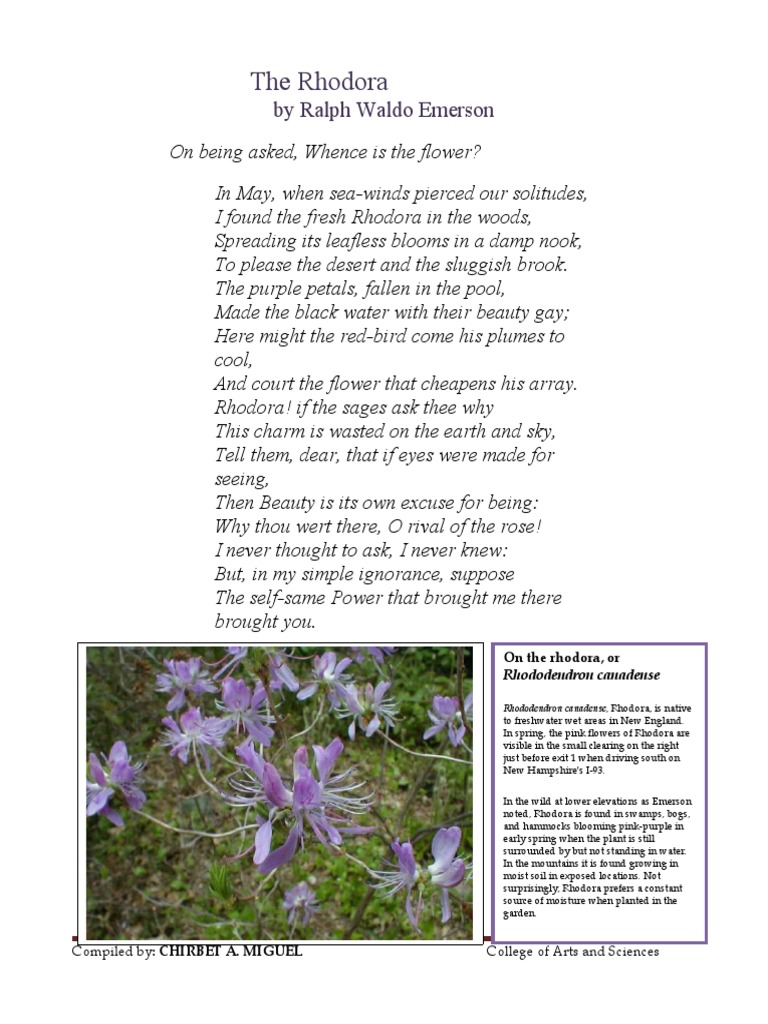 The Rhodora: by Ralph Waldo Emerson | PDF | Ralph Waldo Emerson