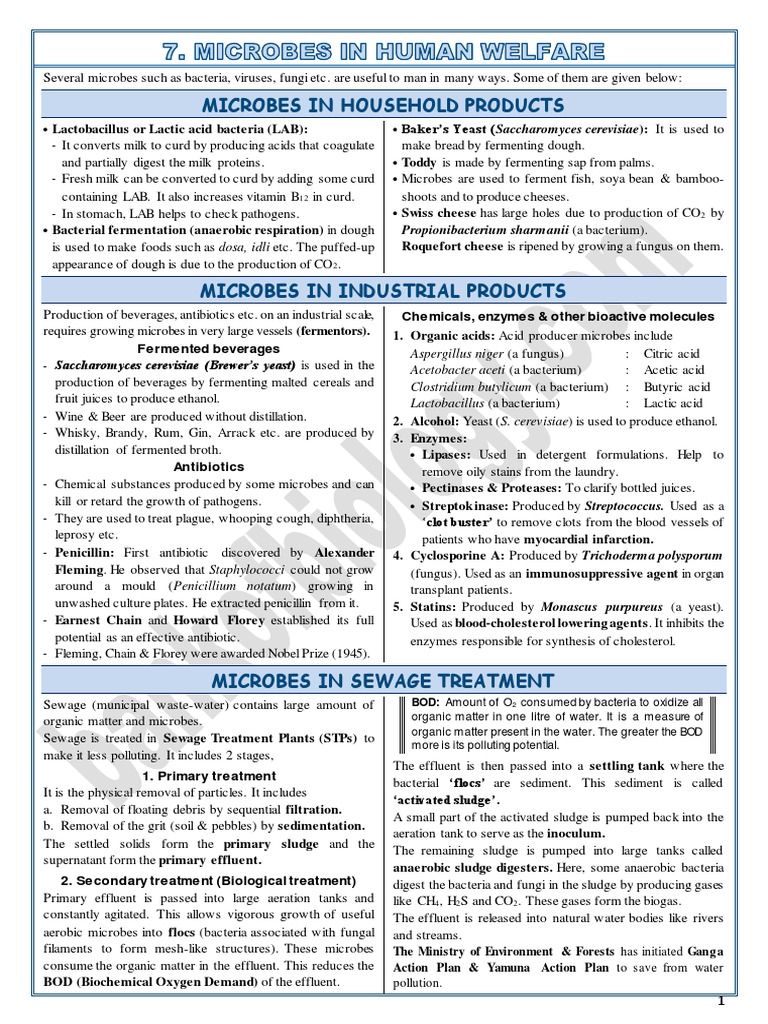 10 Microbes in Human Welfare-Notes | PDF | Fermentation | Anaerobic ...