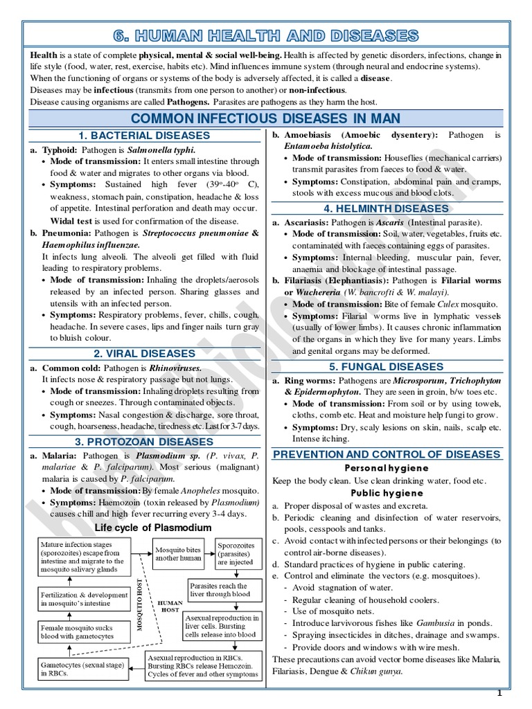 8 Human Health N Disease-Notes | PDF | Immune System | Adaptive Immune ...