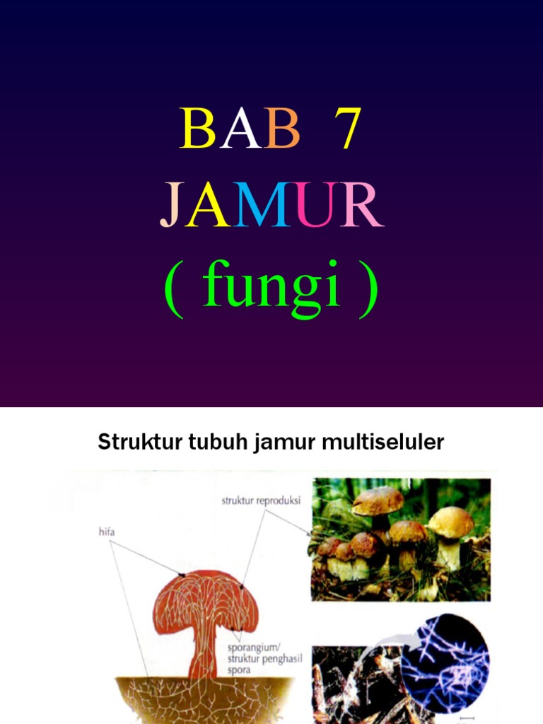 Struktur Tubuh Jamur Multiseluler | PDF