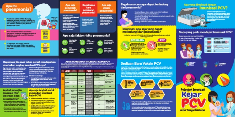 Flyer Imunisasi Kejar PCV | PDF