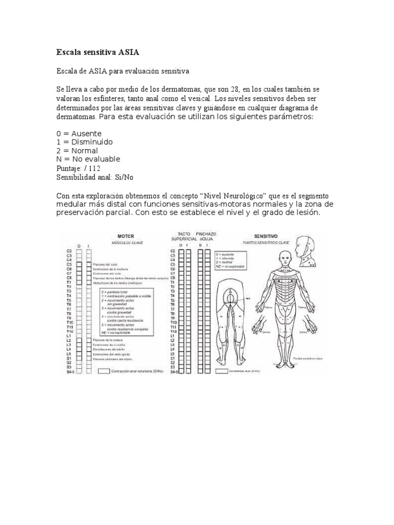 Escala Sensitiva ASIA