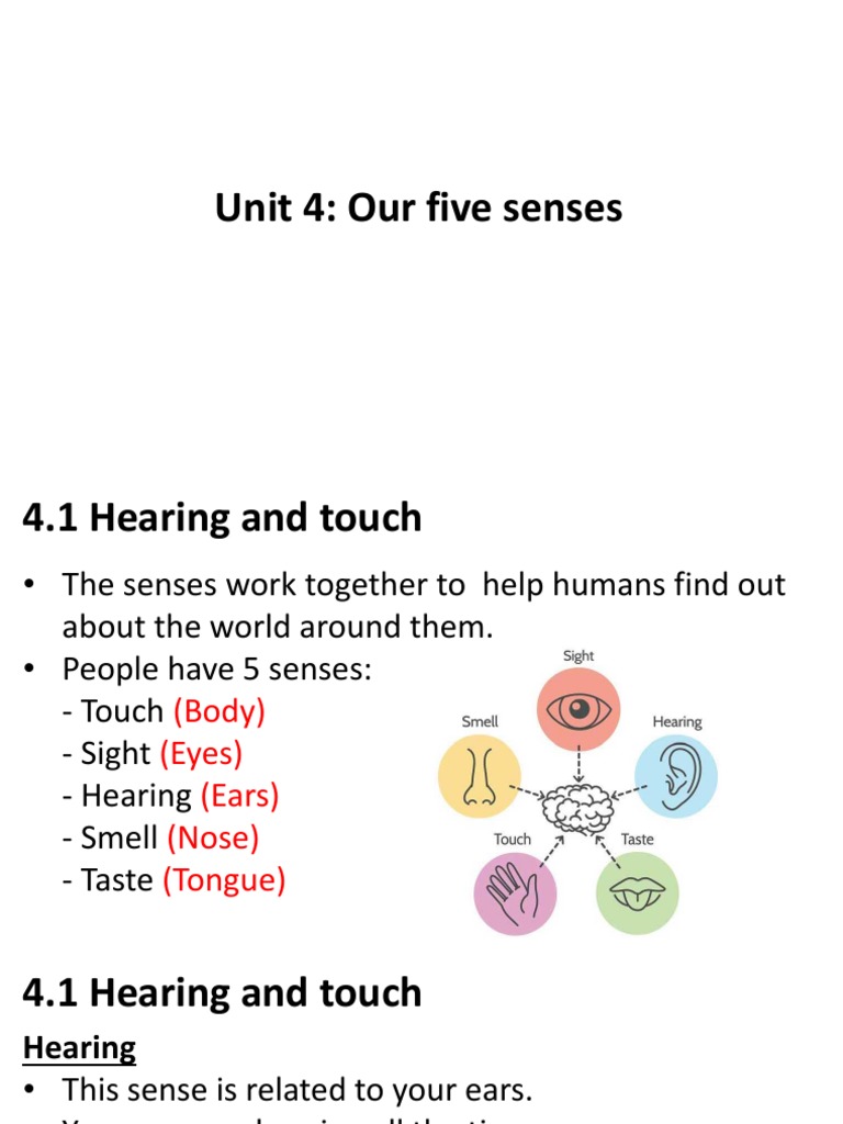 4.1 Hearing and Touch | PDF