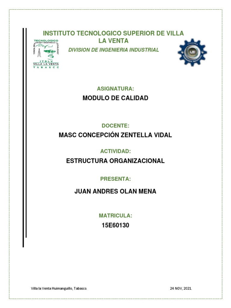 Actividad 1 Estructura Organizacional | PDF | Calidad (comercial) | Business